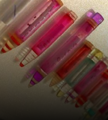 Para Valéria, Luciana, Patrícia, Maria, Mônica - 2003 - Casa da Ribeira